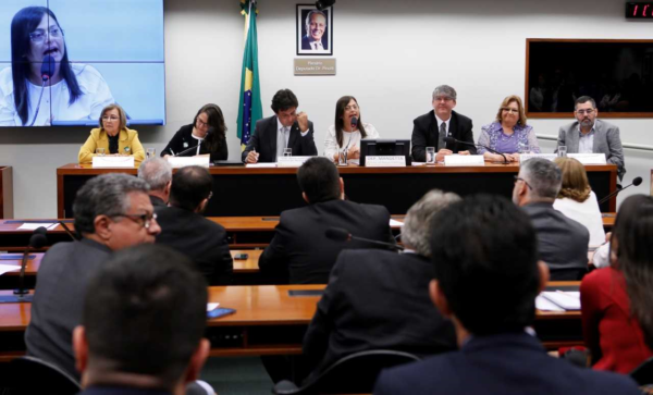 Alice Portugal protesta contra posição do MEC sobre o EaD na área da ...